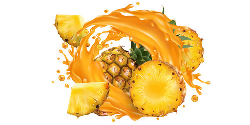 Pineapple Splash Vector Images (over 1,000)