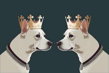 King dog Royalty Free Vector Image - VectorStock