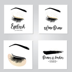 Beauty lashes Royalty Free Vector Image - VectorStock
