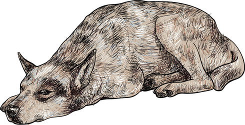 Sleepy Dog Vector Images (over 500)