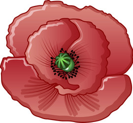 Opium Cartoon Poppy Vector Images (69)