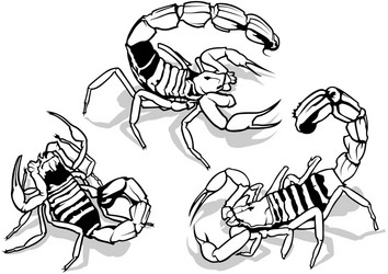 How To Draw A Scorpion Tail