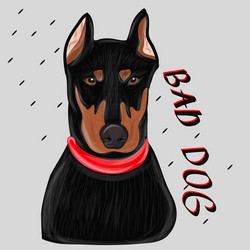 Angry Doberman Vector Images (81)