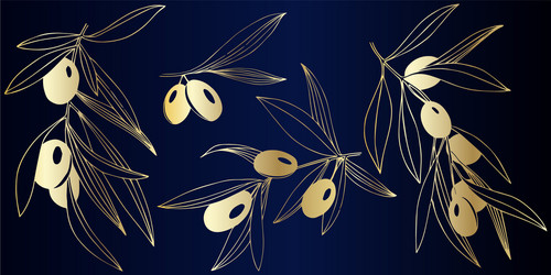 Golden olive branch plant botanical Royalty Free Vector