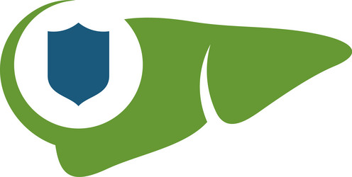 Liver with shield logo template creative Vector Image