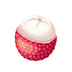 Lychee food fruit set cartoon Royalty Free Vector Image