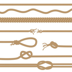 Set looped ropes with metal holes rope threads Vector Image