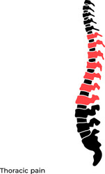 Human spine with name and description Royalty Free Vector