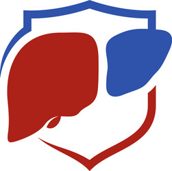 Liver with shield logo template creative Vector Image
