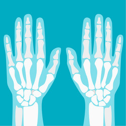 Cartoon human hand showing numbers set row Vector Image