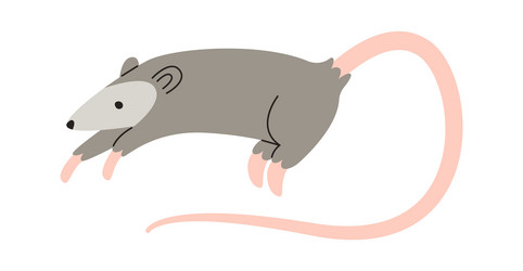 Rat Vector Images (over 28,000)
