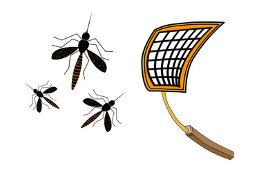 Swatter Fly Cartoon Vector Images (over 140)