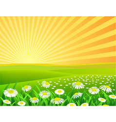 Field Royalty Free Vector Image - VectorStock