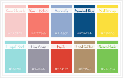 Skin colors for summer type Royalty Free Vector Image