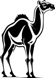 Camel Royalty Free Vector Image - VectorStock