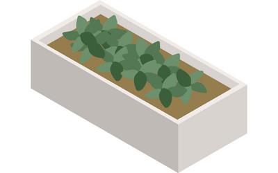Isometric Planter Vector Images (97)