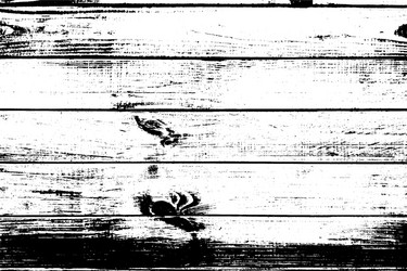 Rustic Barnwood Texture Overlay Royalty Free Vector Image