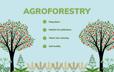 Agroforestry Vector Images (over 190)