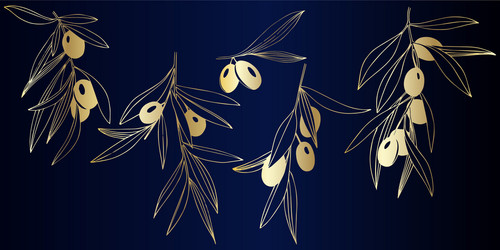 Golden olive branch plant botanical Royalty Free Vector