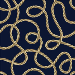 Rope seamless pattern Royalty Free Vector Image