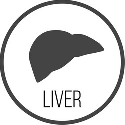 Protect Liver Vector Images (over 1,000)