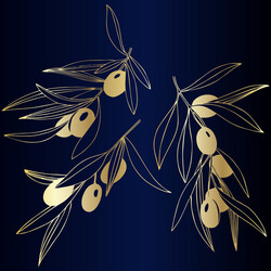 Golden olive branch plant botanical Royalty Free Vector