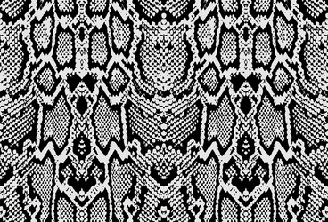 Snake skin colorful animal beige seamless pattern Vector Image