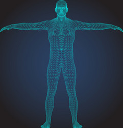 Abstract of human body on white background Vector Image