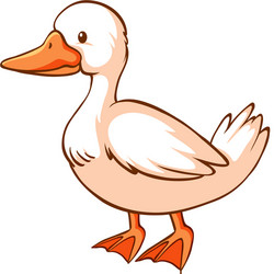 Duck Clip Art