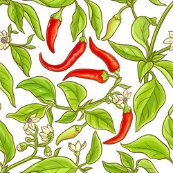Cayenne pepper seamless pattern Royalty Free Vector Image