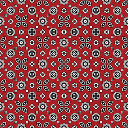 Ajrakh textiles seamless pattern Royalty Free Vector Image