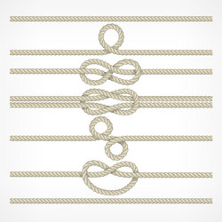 Realistic ropes yellow or brown curved nautical Vector Image