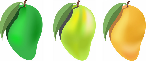 Mango Garden Background Vector Images (over 930)