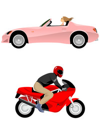 Collection dogs driving vehicles Royalty Free Vector Image