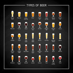 Beer styles map for bars Royalty Free Vector Image