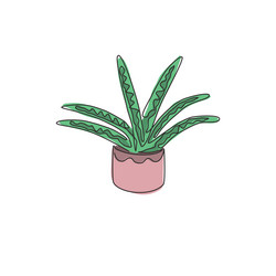 Single one line drawing potted snake plant Vector Image