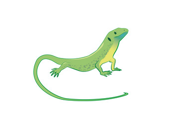 Green lizard Royalty Free Vector Image - VectorStock