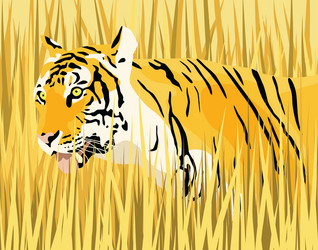 Tiger Stalking Vector Images (40)