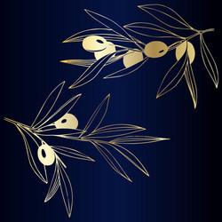 Golden olive branch plant botanical Royalty Free Vector