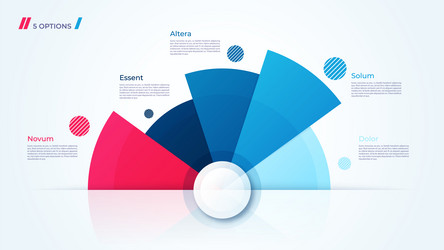 Circle chart design modern template Royalty Free Vector