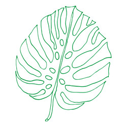 Monstera Outline Vector Images (over 3,500)