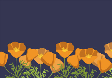 California Poppy Vector Images (over 330)