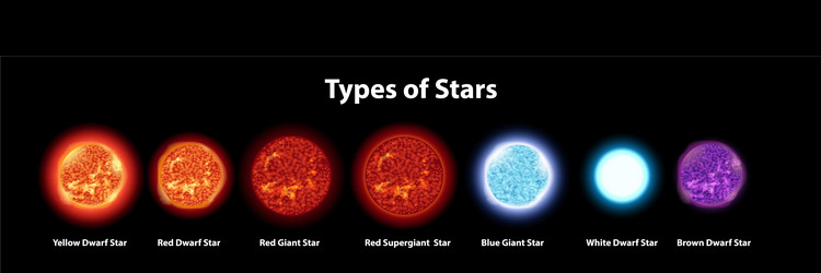 Different types stars in dark space Royalty Free Vector