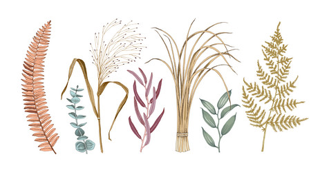 Boho Greenery Vector Images (over 3,100)