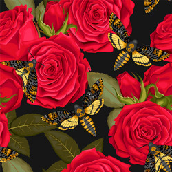 Frame on a red roses background Royalty Free Vector Image