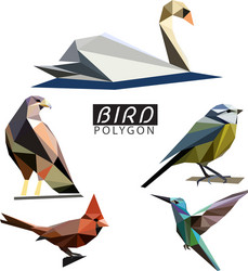 Bird animals low poly logo icon symbol set Vector Image