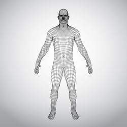 Set of 3d wire frame human body Royalty Free Vector Image