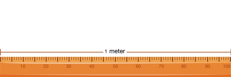 Accurate Ruler Vector Images (over 1,100)