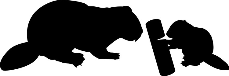 Wet Beaver Vector Images (26)