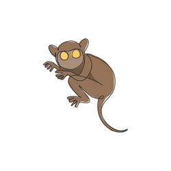 Tarsius tarsier wildlife endangered furry small Vector Image